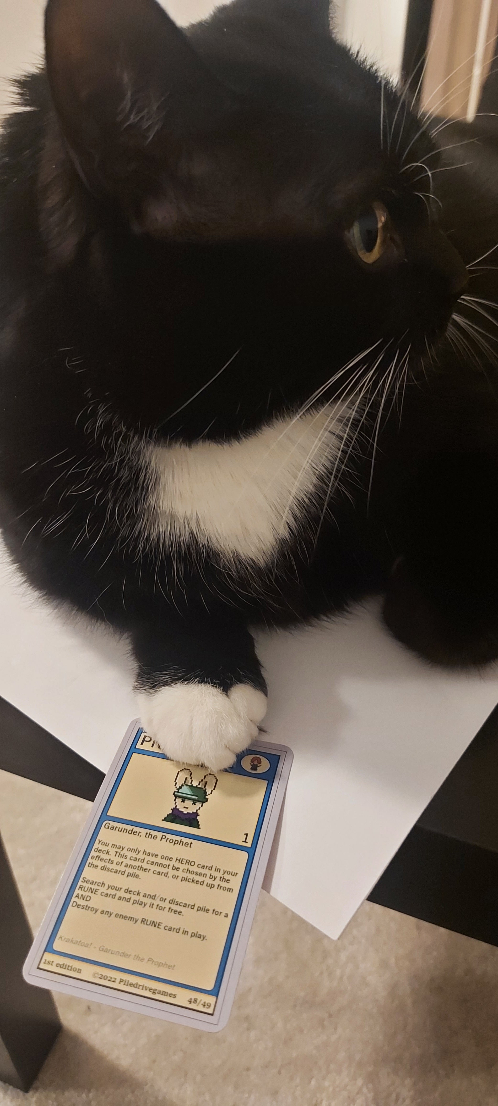 Piledrivegames - Card and Board games